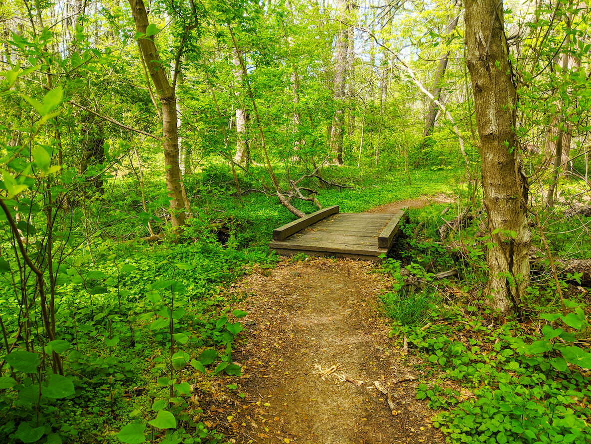 Your guide to fall in Philly — the best festivals, outdoor activities ...