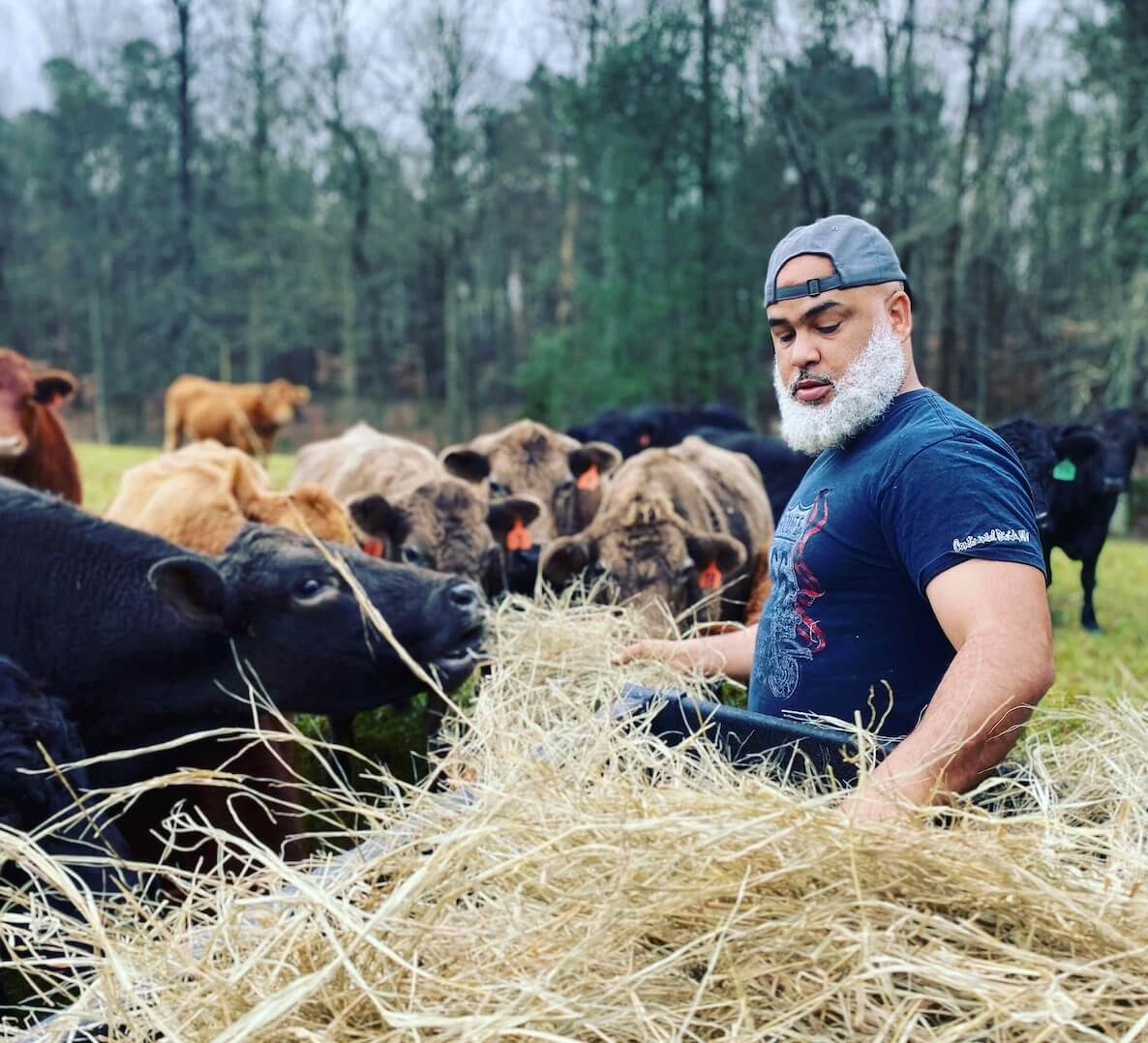 Want to preserve Philly area's farm culture? Check this idea out of ...