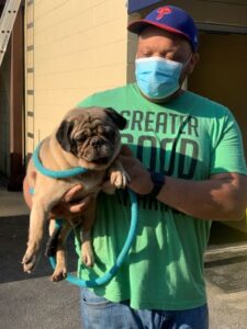 10 Ways to Help Shelter Animals in Philly