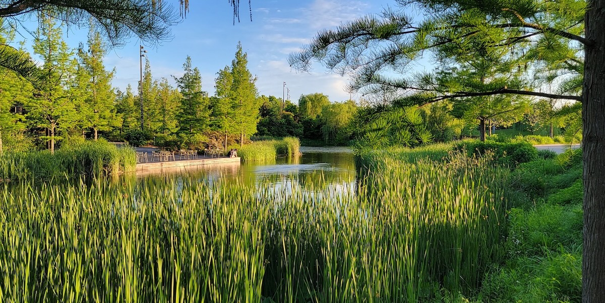 The New Urban Order: Tulsa Remote's Built-in Community